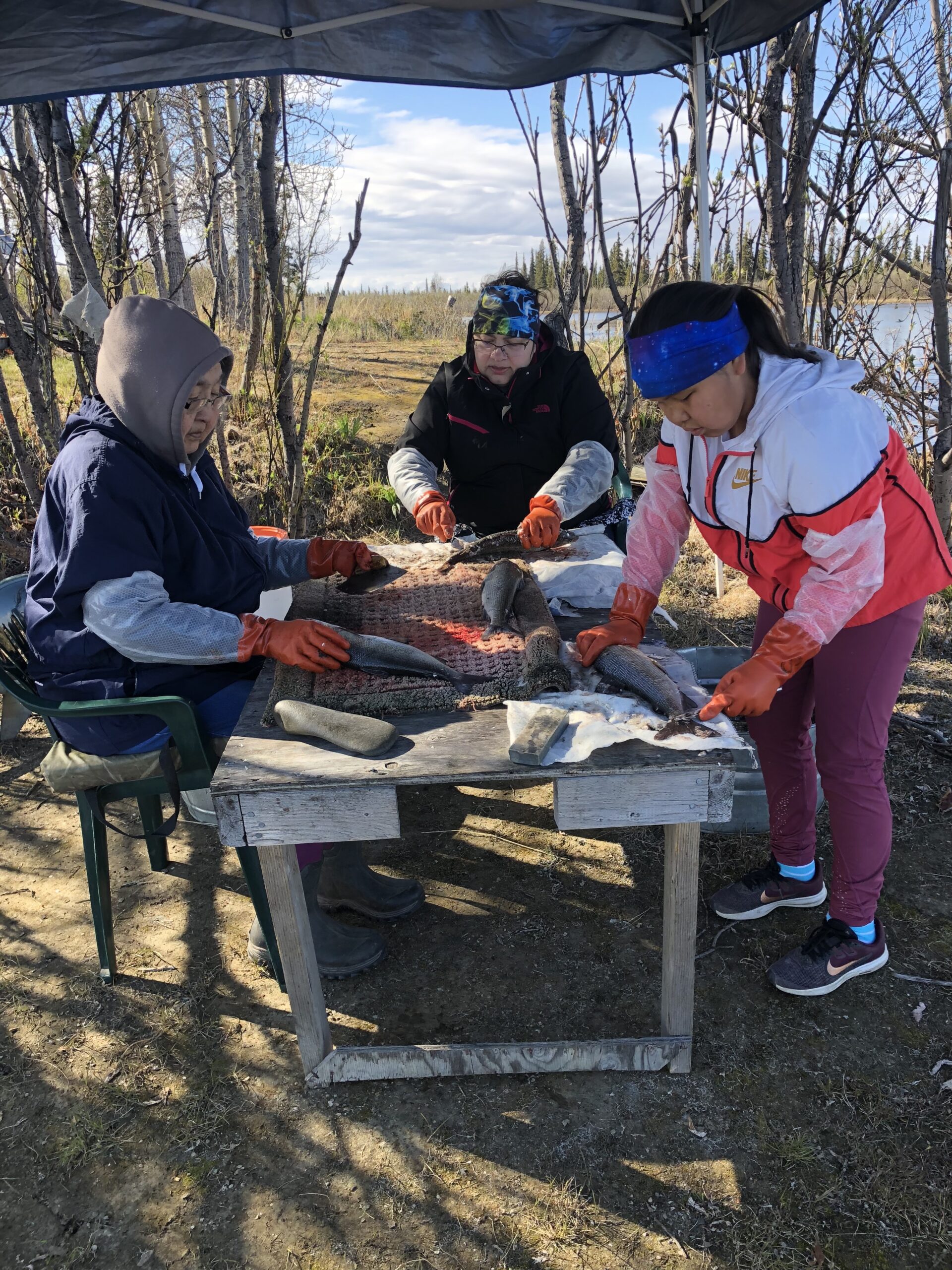 Improving Access to Healthcare in Alaska’s Rural Villages - AAPA